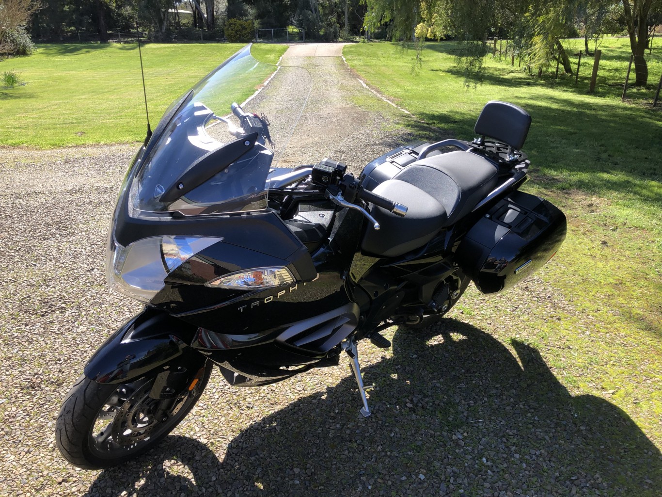 Pillion backrest - Modifications, Accessories, and Appearance - Triumph ...